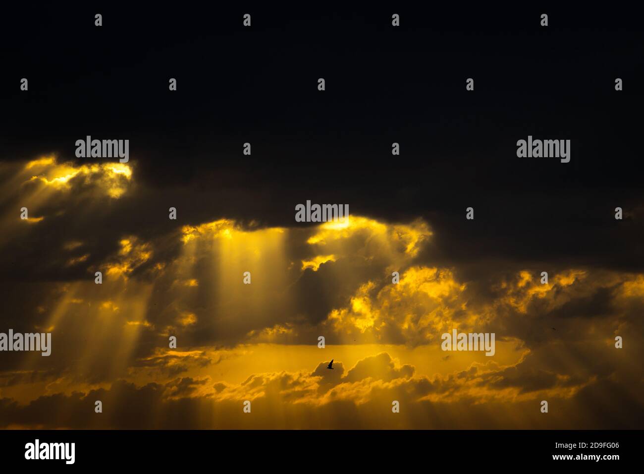 Sunlight beams in clouds hi-res stock photography and images - Alamy