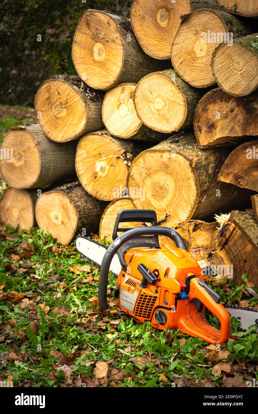 An orange chainsaw leaning next to a pile of freshly cut logs in the ...