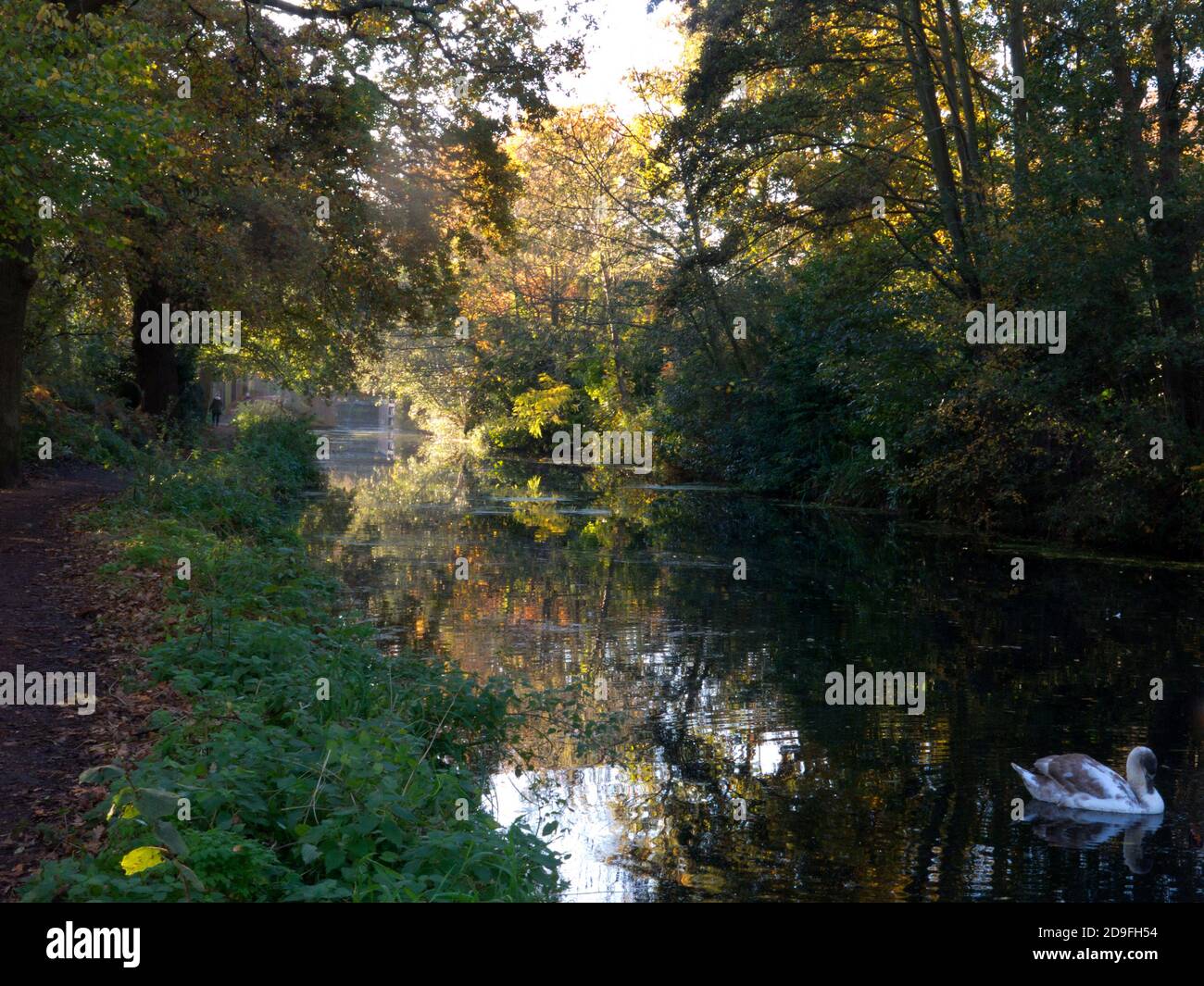 West byfleet hi-res stock photography and images - Alamy
