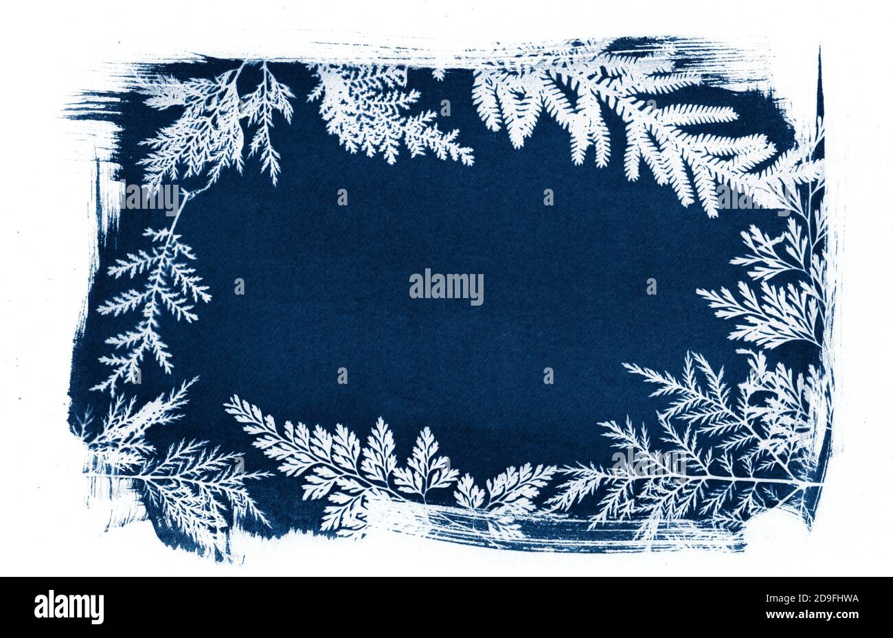 Cyanotype flower Cut Out Stock Images & Pictures - Alamy