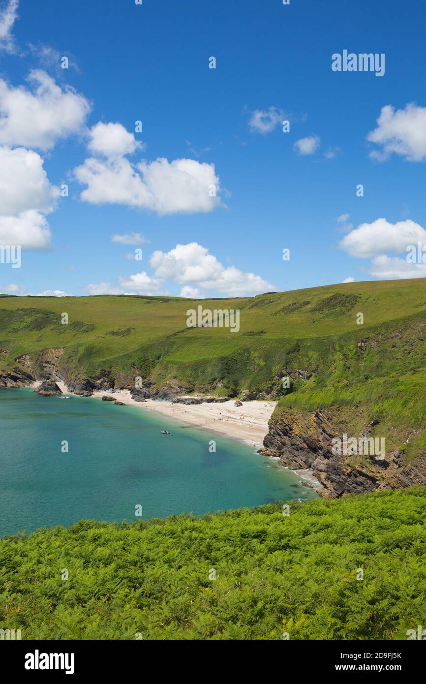 Beautiful coast of Cornwall with stunning beach and blue sea Lantic Bay ...