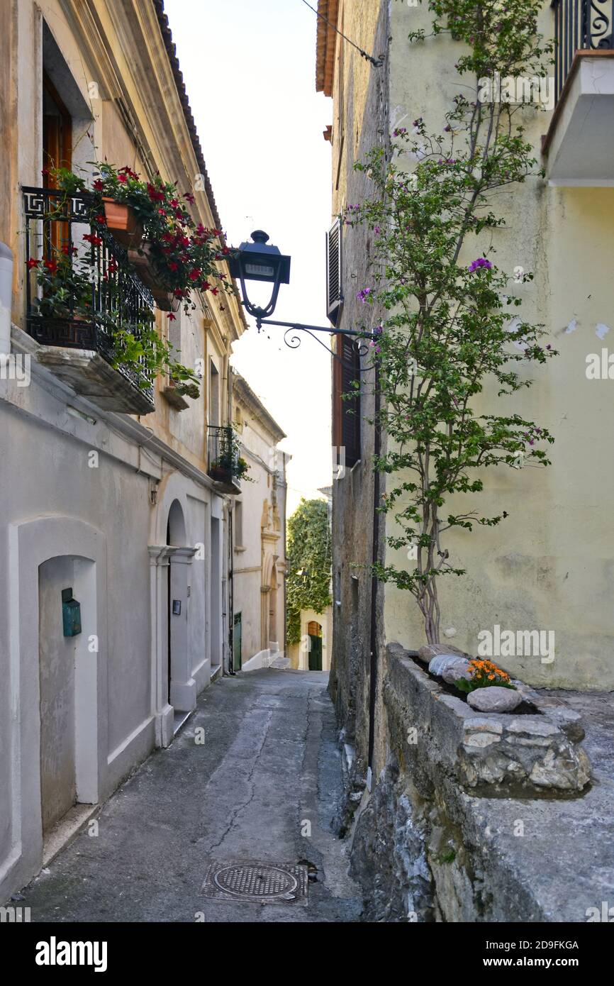 A narrow street among the old houses of San Nicola Arcella, a rural ...