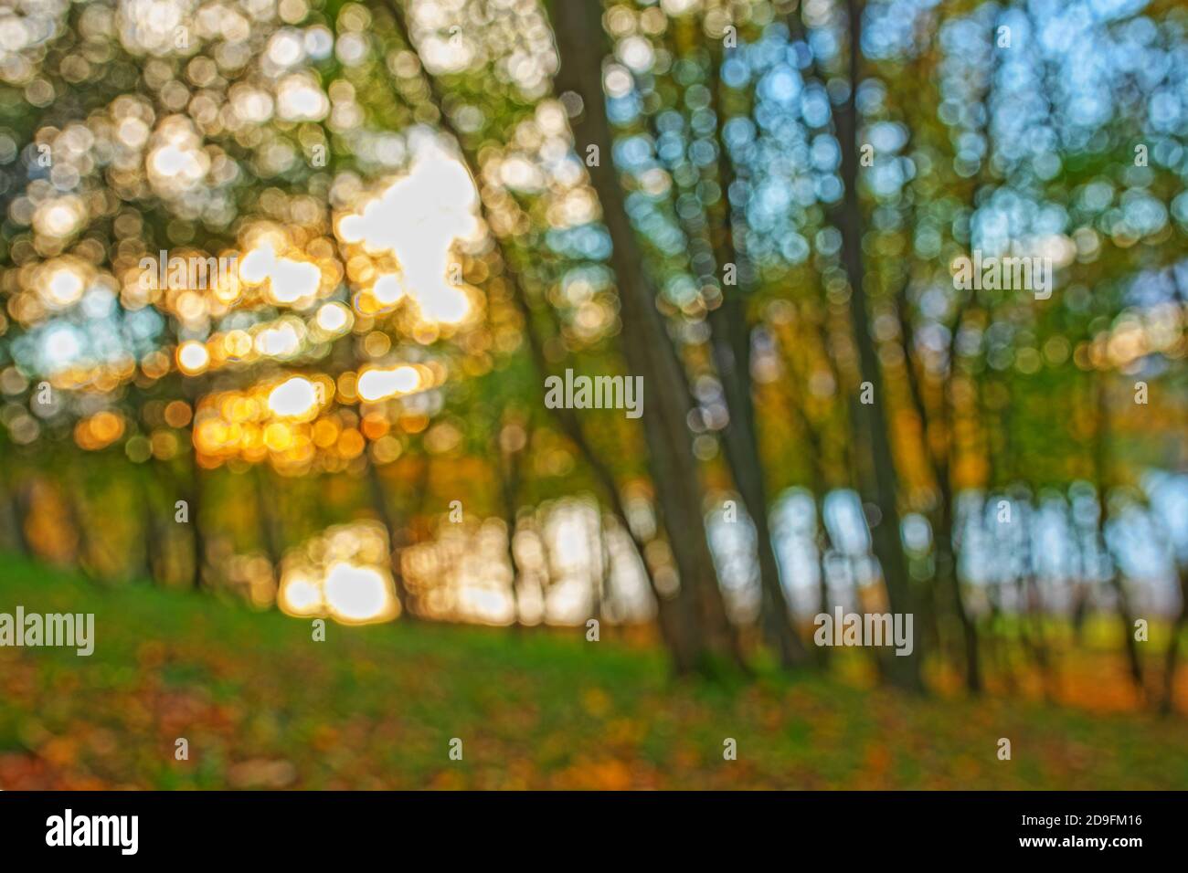 Light patches hi-res stock photography and images - Alamy