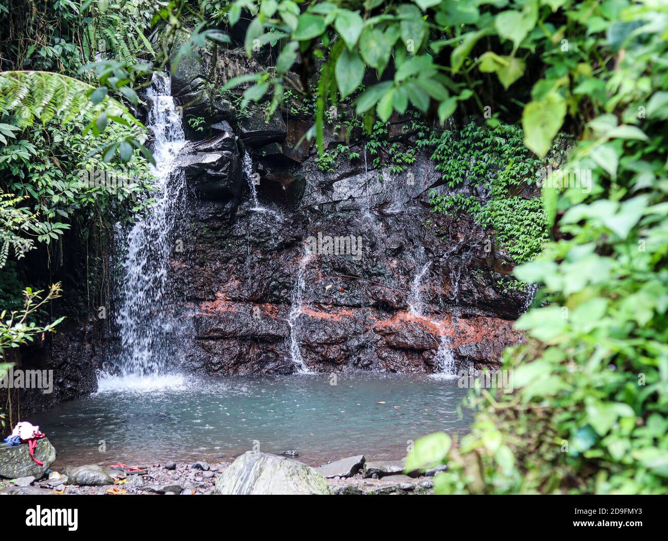 a waterfall hidden in the thick forest and grass Stock Photo - Alamy