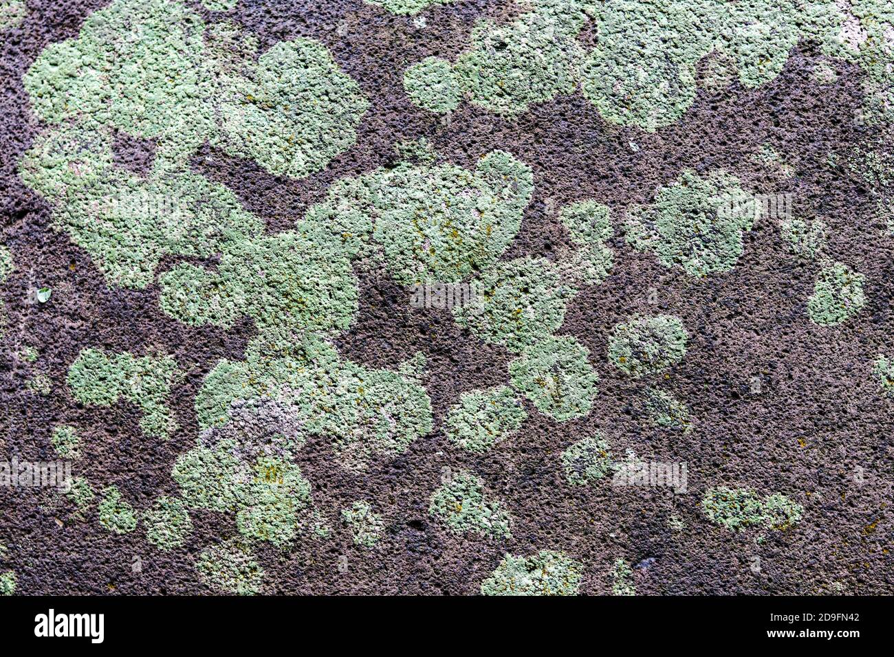 green moss stuck to the river rock, perfect for smartphone, tablet and ...