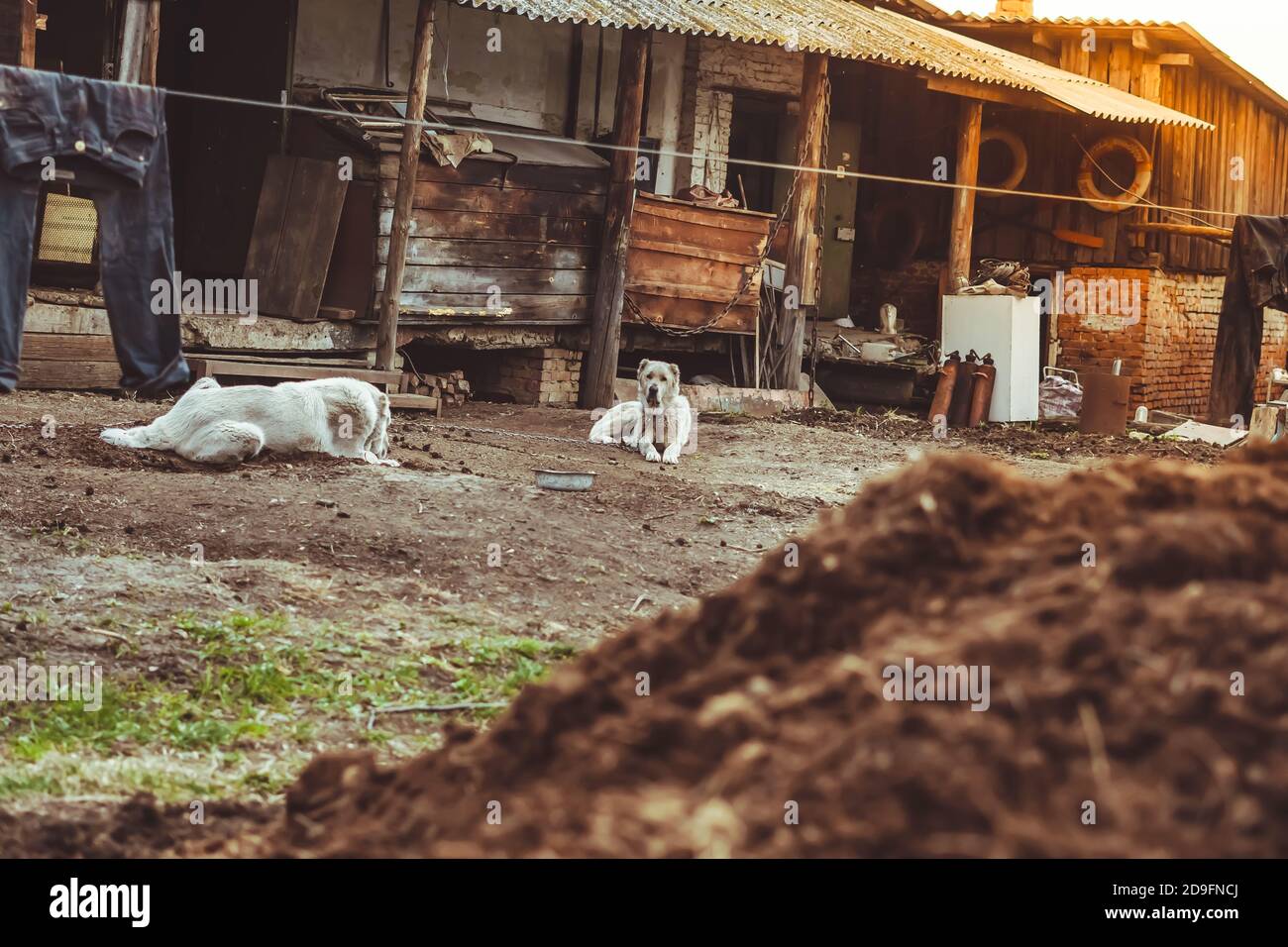 poor neighborhood old houses Laundry on a rope Stock Photo - Alamy