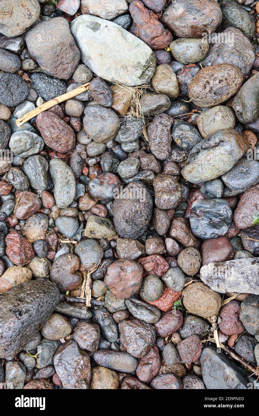 river stone texture with various shapes and sizes, suitable for ...