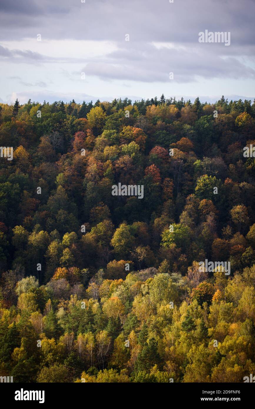 Aerial forest view hi-res stock photography and images - Alamy