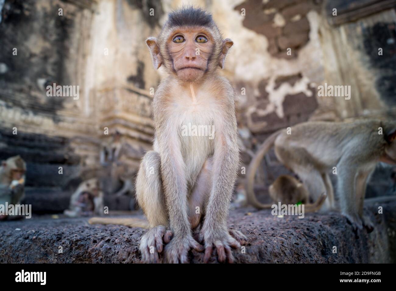 Camera instruction hi-res stock photography and images - Alamy