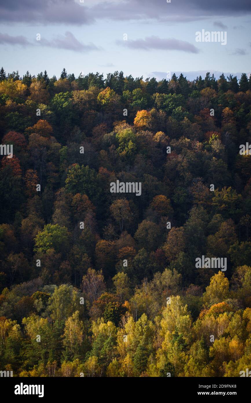Aerial landscape view fairy forest hi-res stock photography and images ...