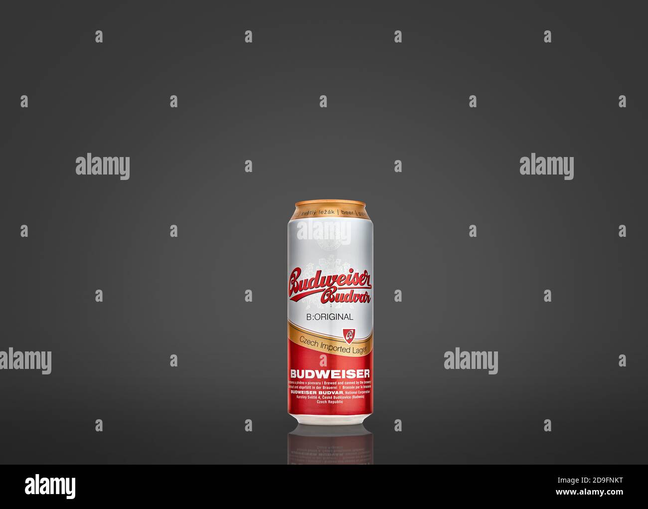Can of Budweiser lager beer on gray background. Budvar, one of the ...