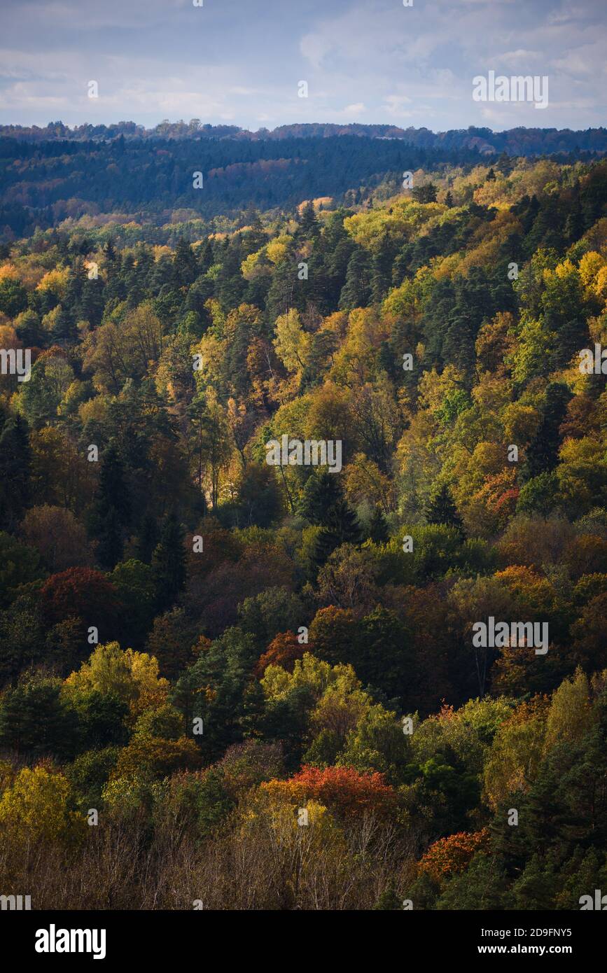 Aerial forest view hi-res stock photography and images - Alamy