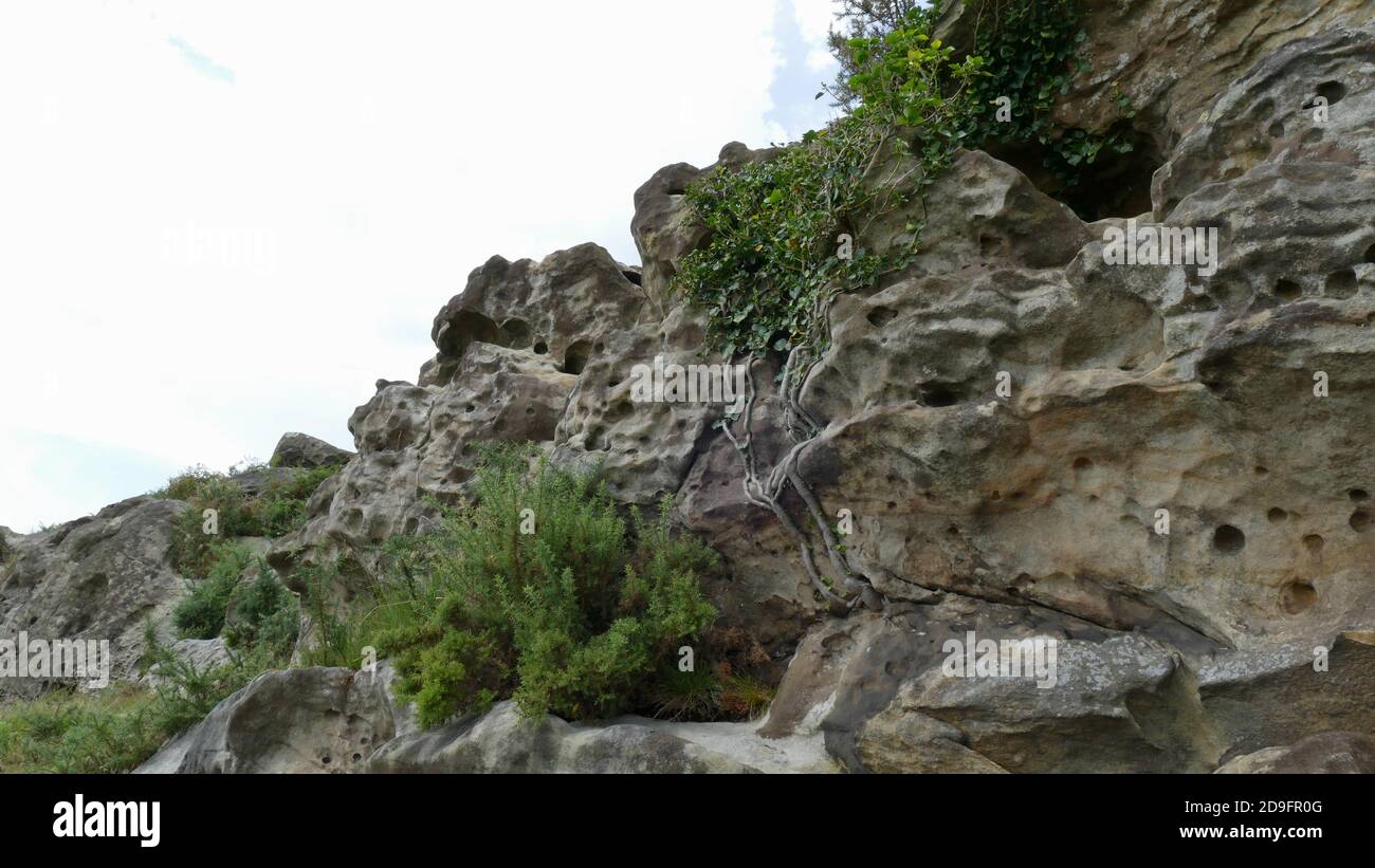 Vegetation on top mount hi-res stock photography and images - Alamy