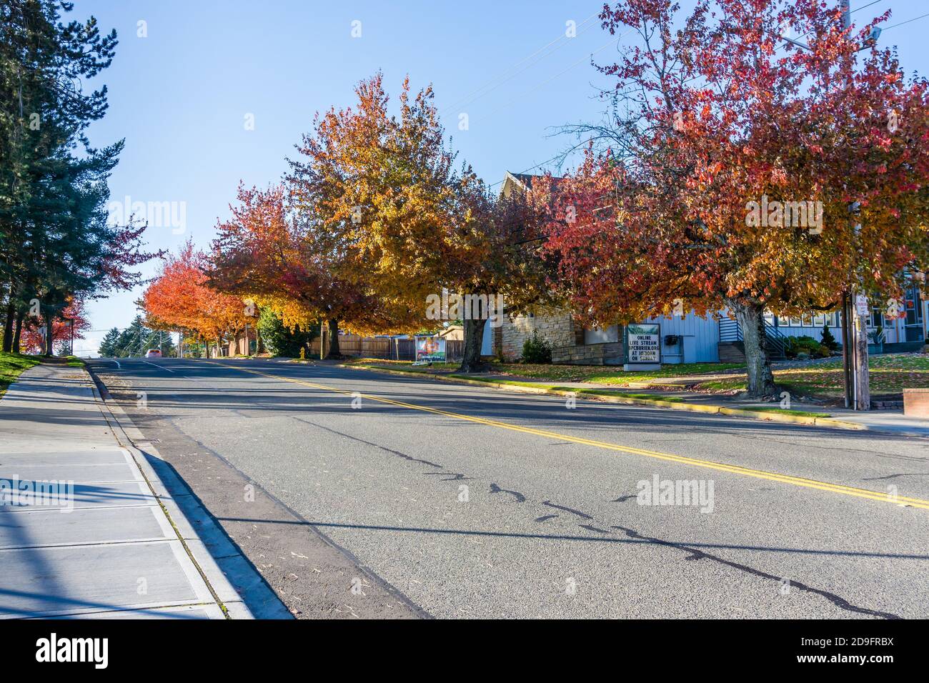 Autumn leaves burst with color on a street in Seatac, Washington Stock ...