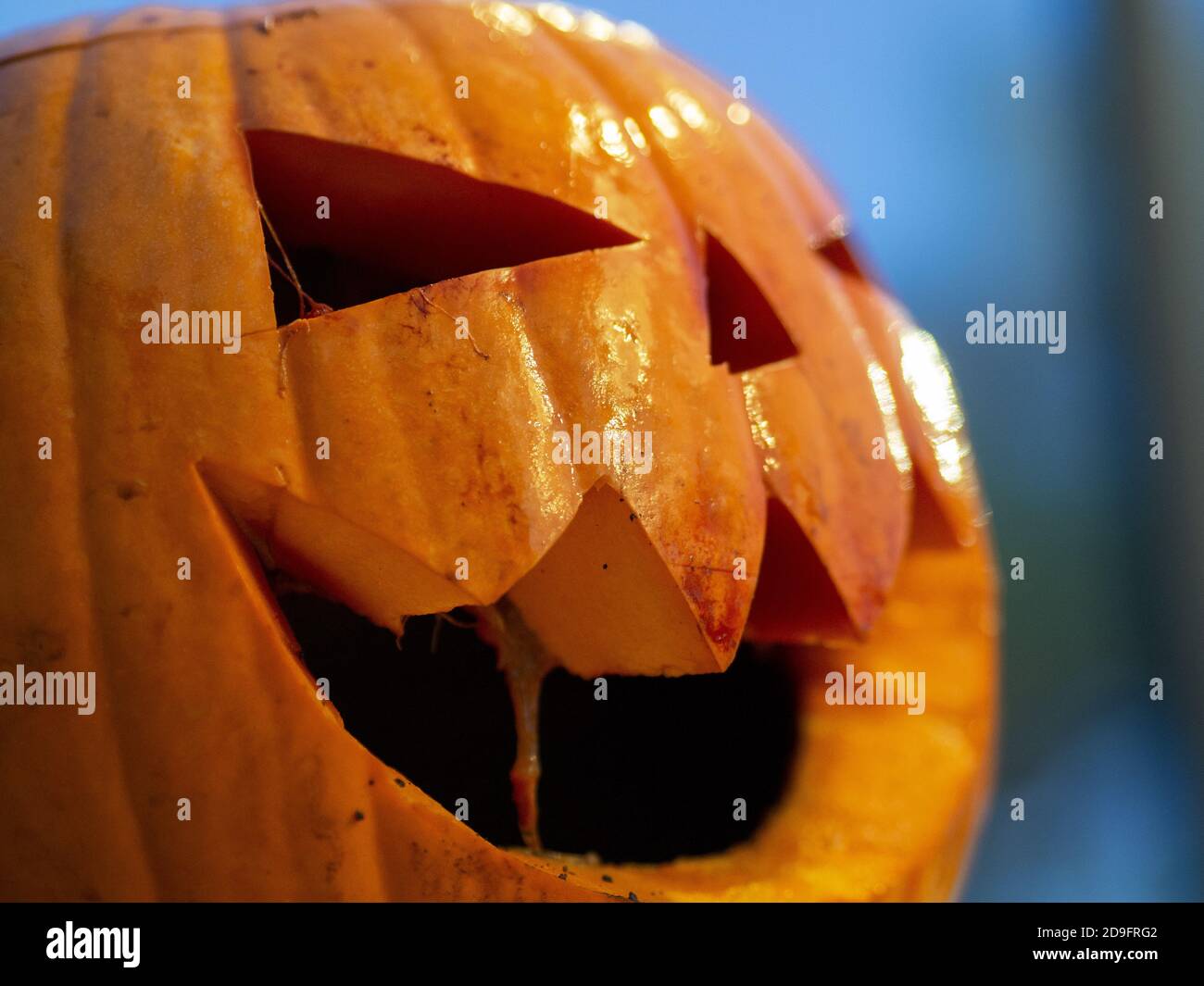 Halloween pumpkin with a scary face Stock Photo - Alamy