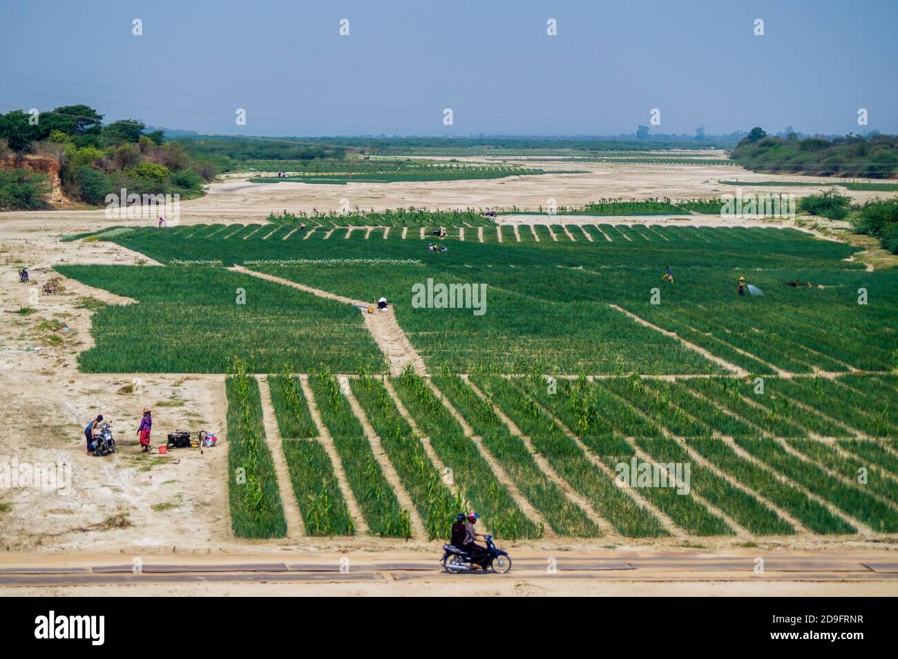 Working the land painting hi-res stock photography and images - Alamy