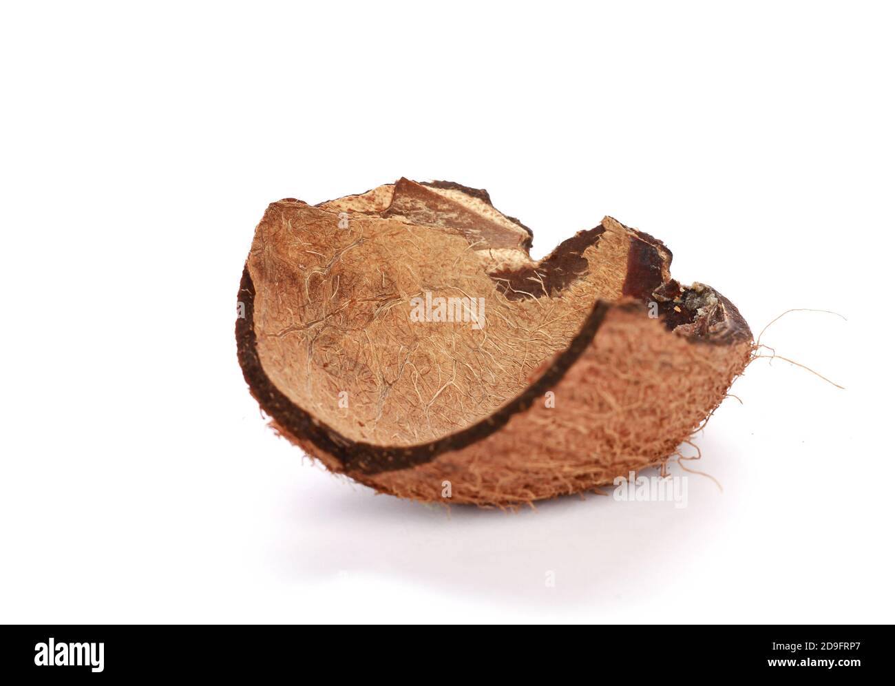 Broken coconut shell isolated on a white background Stock Photo - Alamy