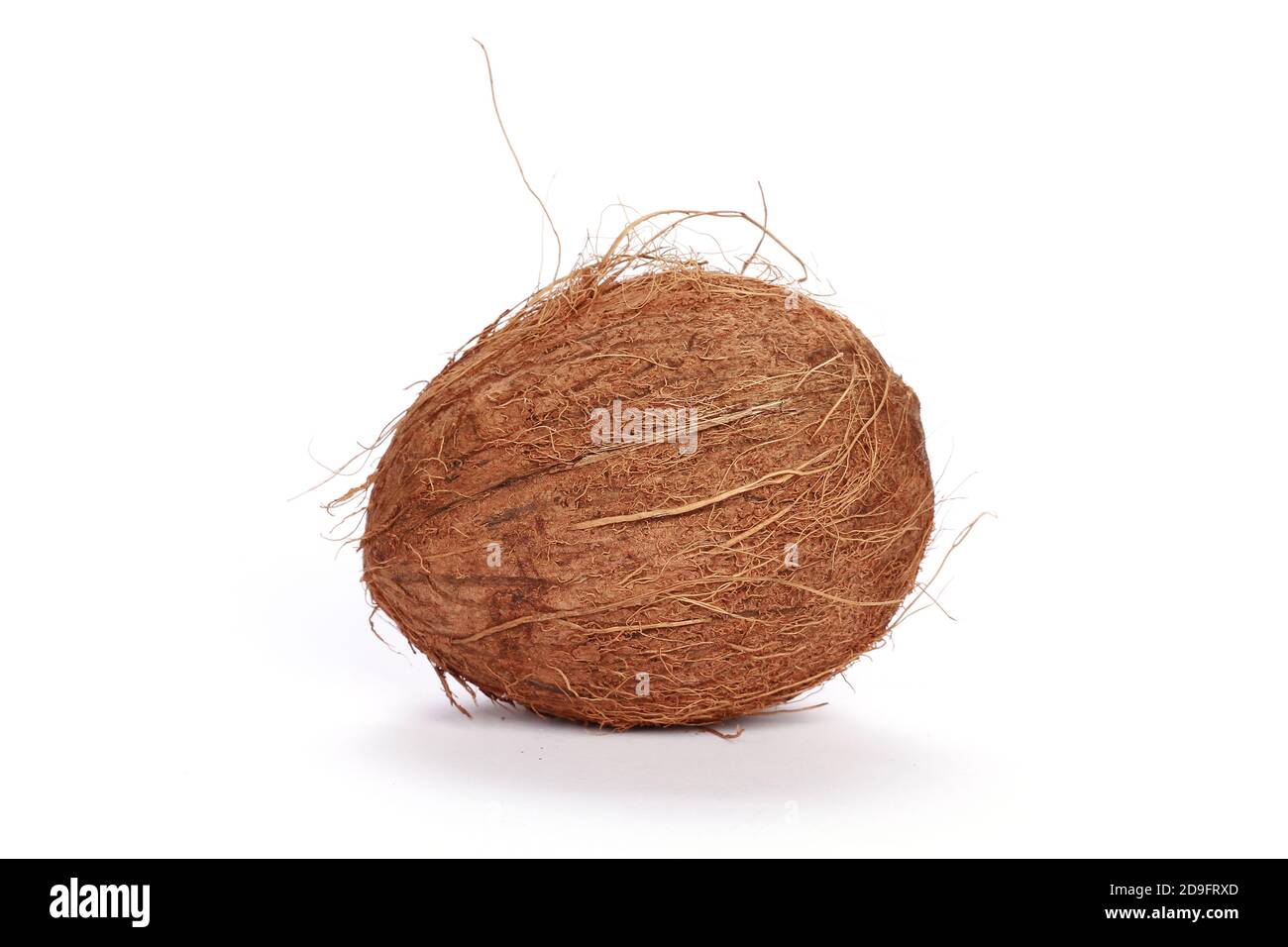 Fuzzy plant Cut Out Stock Images & Pictures - Alamy