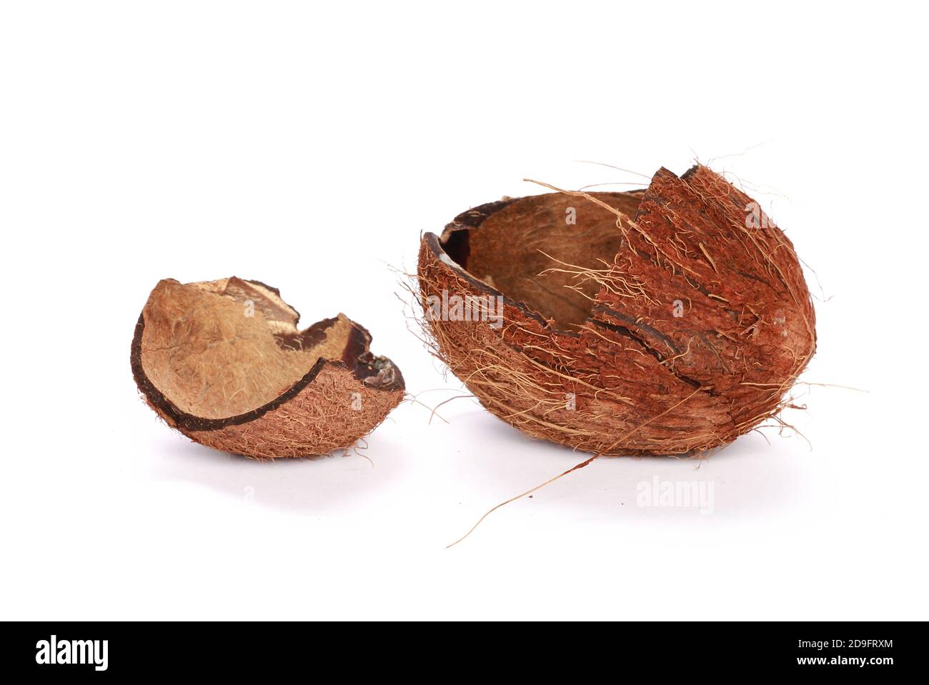 Broken coconut shell isolated on a white background Stock Photo - Alamy