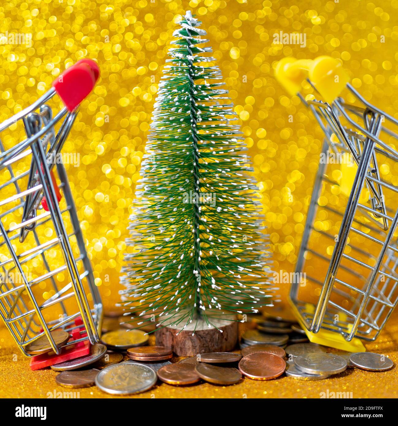 Macro money tree hi-res stock photography and images - Alamy