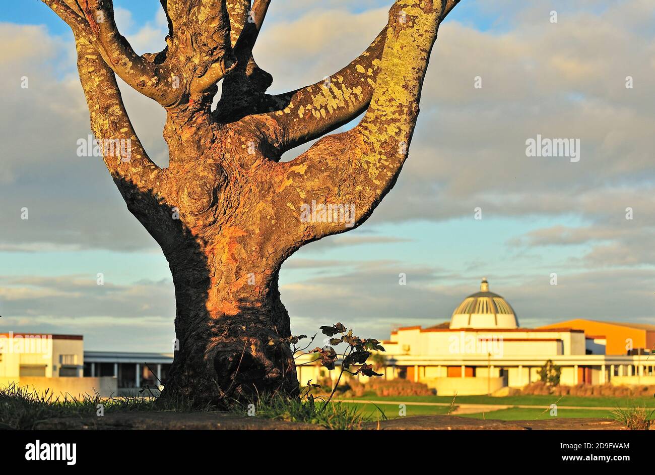Fleetwood Marine Hall High Resolution Stock Photography and Images - Alamy