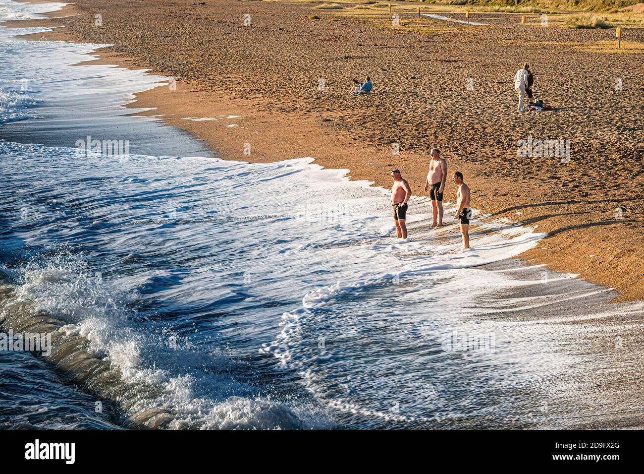 Everyday life. Group of men watching waves on the beach at sunny but ...