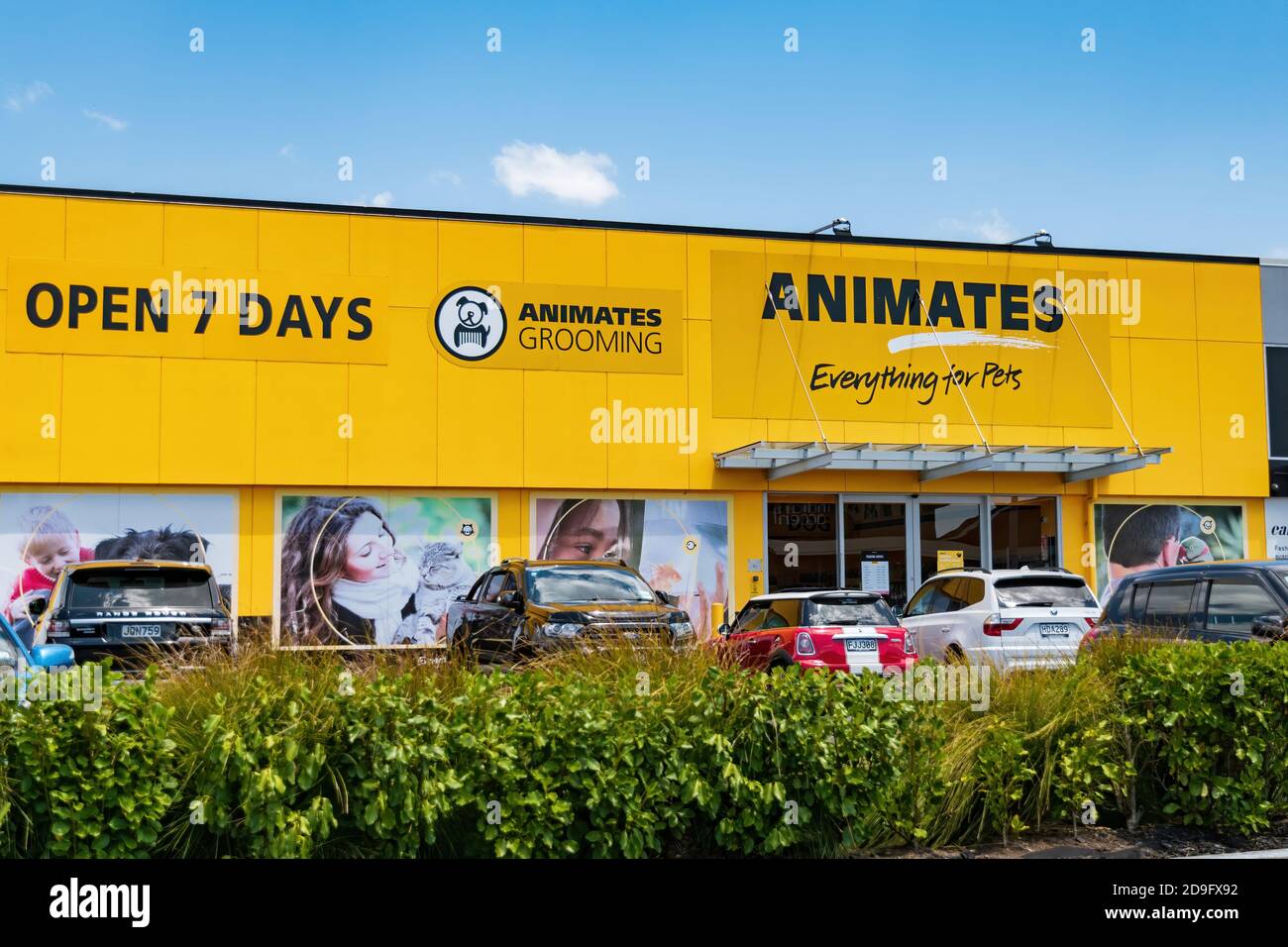 AUCKLAND, NEW ZEALAND - Dec 05, 2019: Auckland / New Zealand - December ...