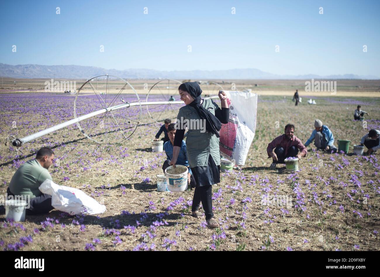 Northeastern tehran hi-res stock photography and images - Alamy