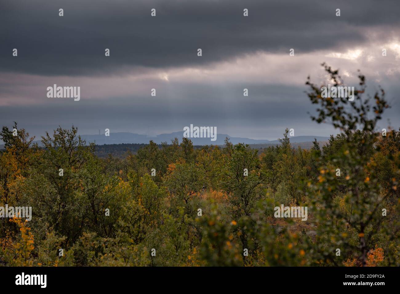 Northern sweden Lapland area Stock Photo - Alamy