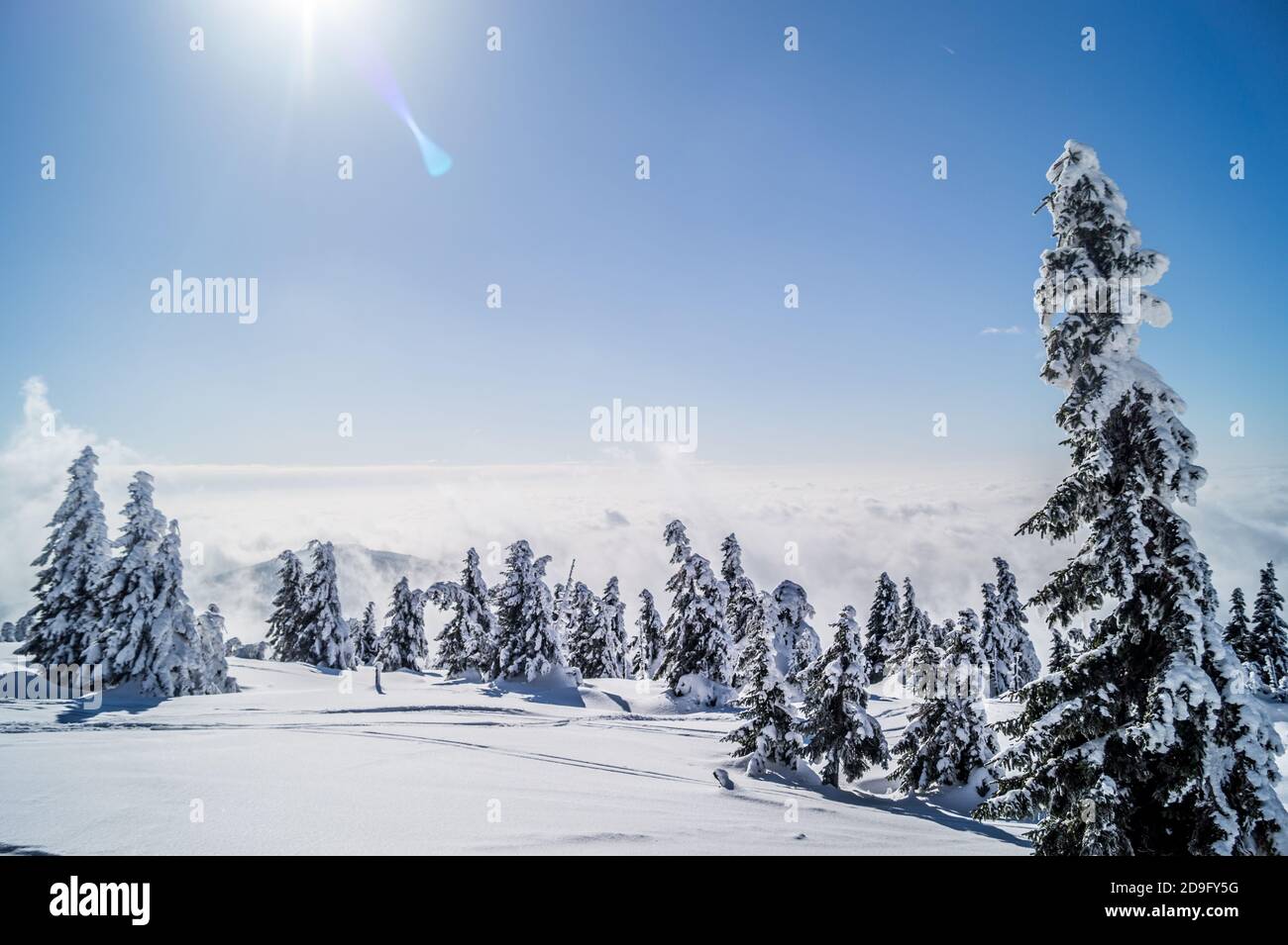C. p. snow hi-res stock photography and images - Alamy