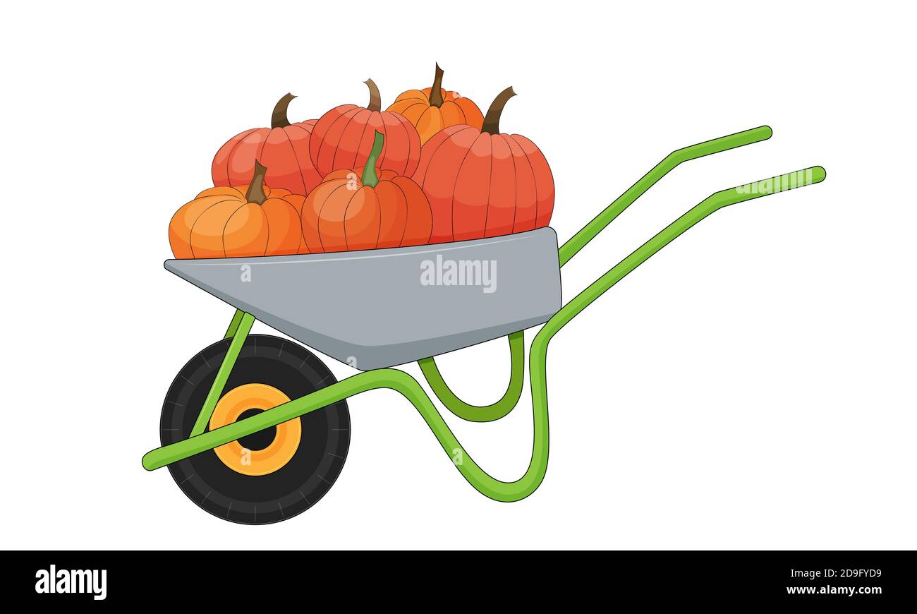 Wheelbarrow full of pumpkins. Stock vector illustration Stock Vector ...
