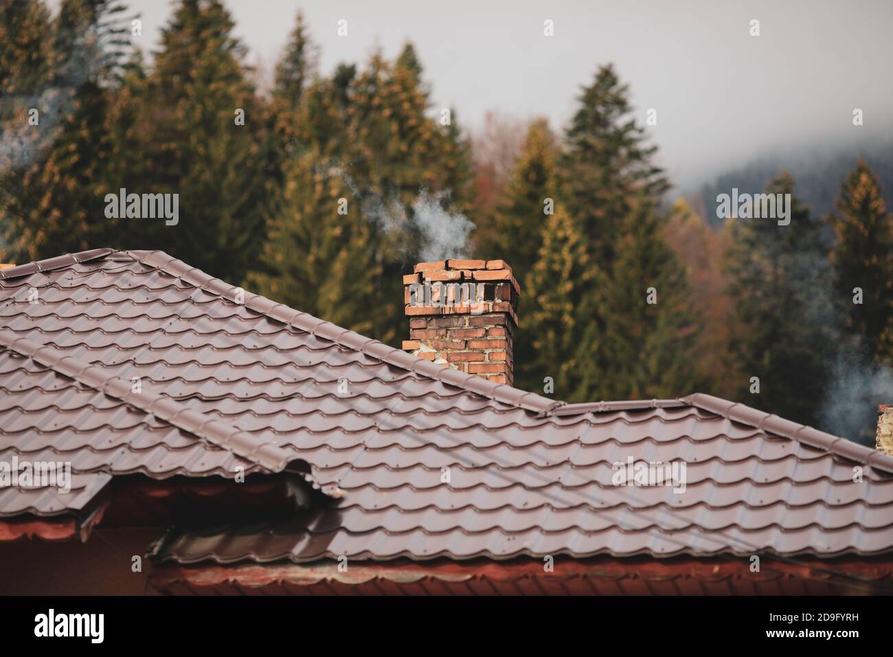 Smoking red brick chimney with a cone trees forest in the background ...