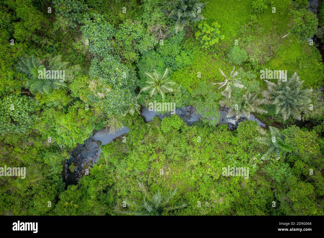 Underwater river forest leaves hi-res stock photography and images - Alamy