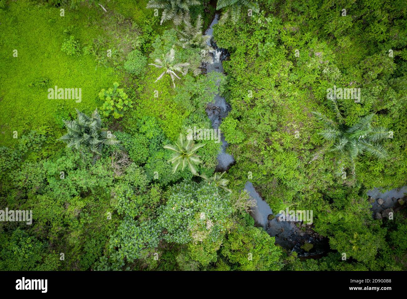 aerial view into the jungle from above Stock Photo - Alamy