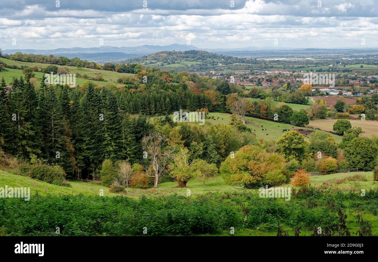 Buckholt wood hi-res stock photography and images - Alamy