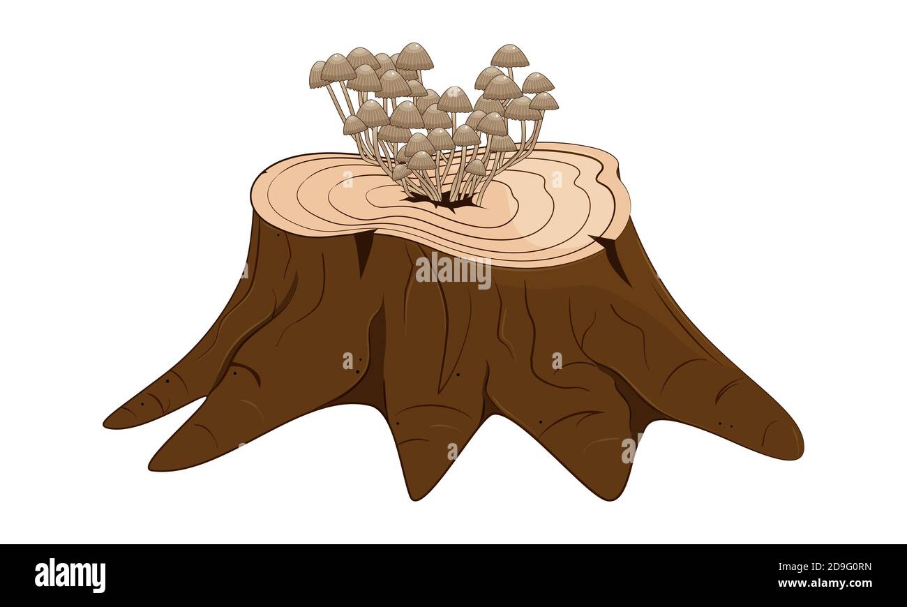 Tree Stump Vector