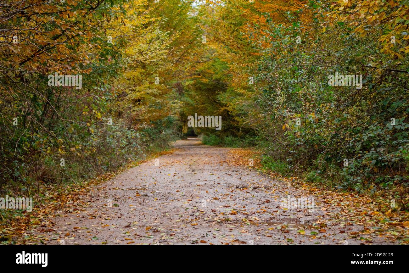 Autumn country roads dirt road hi-res stock photography and images - Alamy