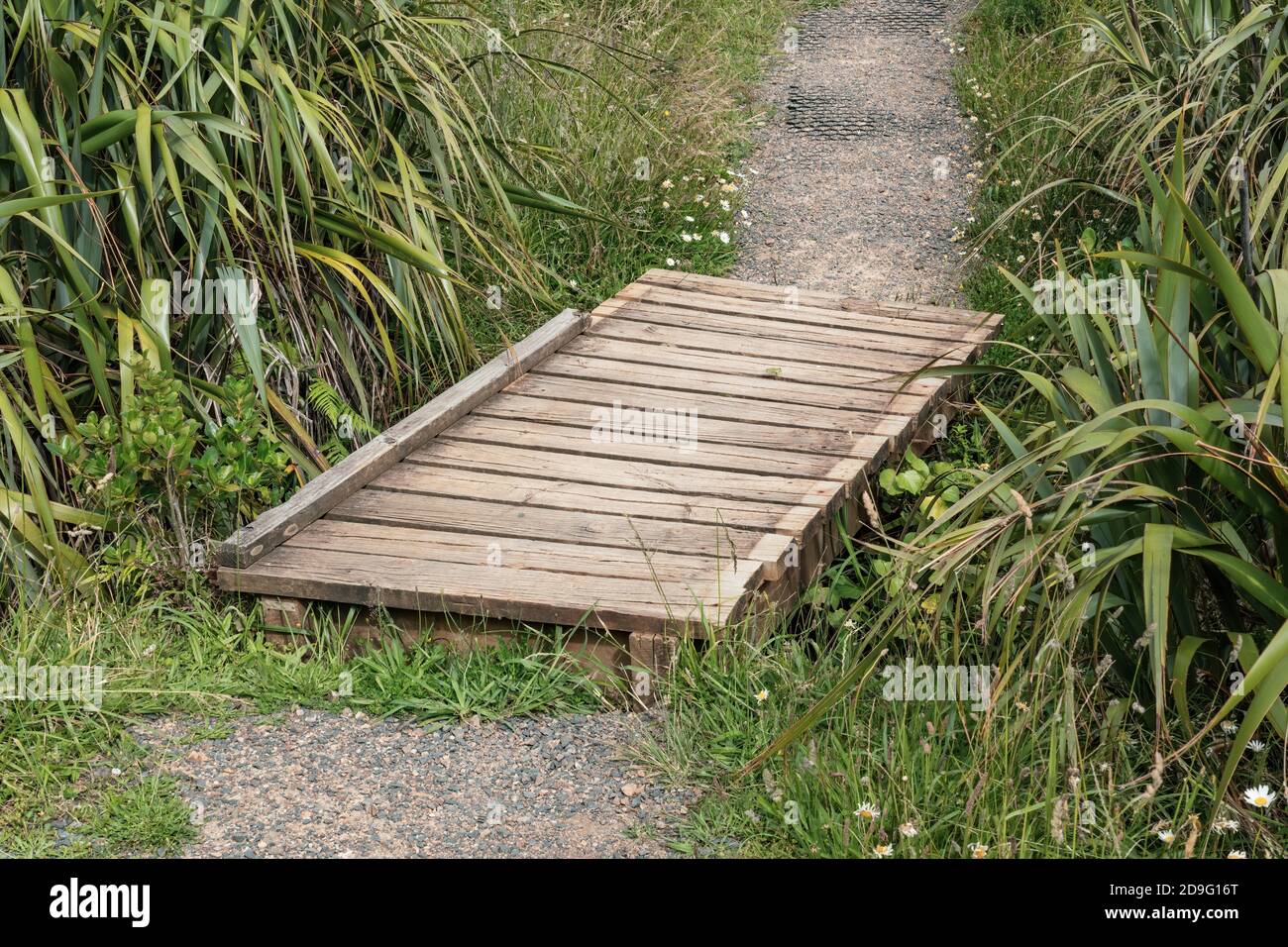 Hillary hiking track Stock Photo - Alamy