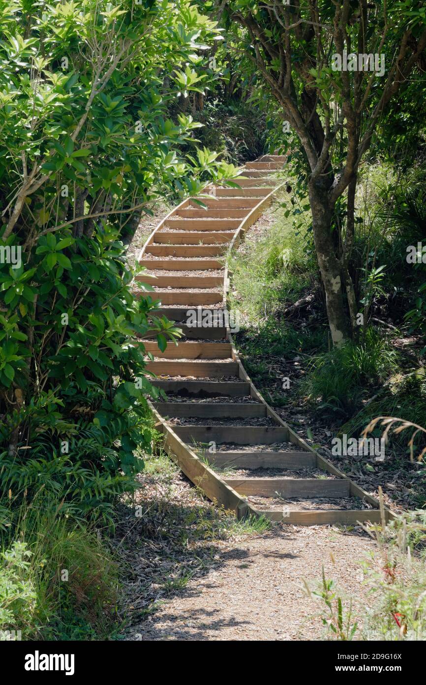 Hillary hiking track Stock Photo - Alamy