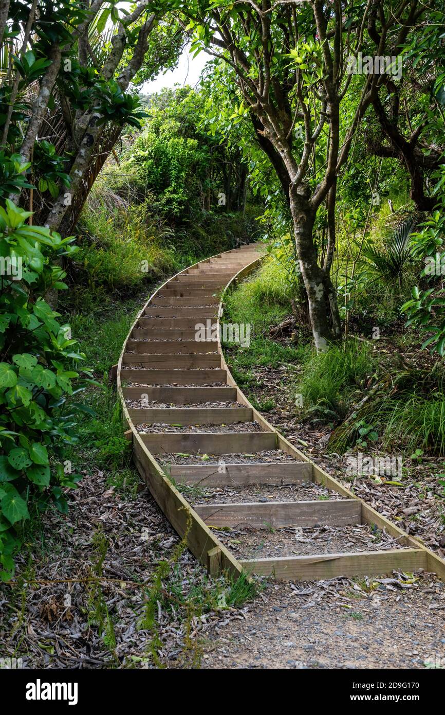 Hillary hiking track Stock Photo - Alamy