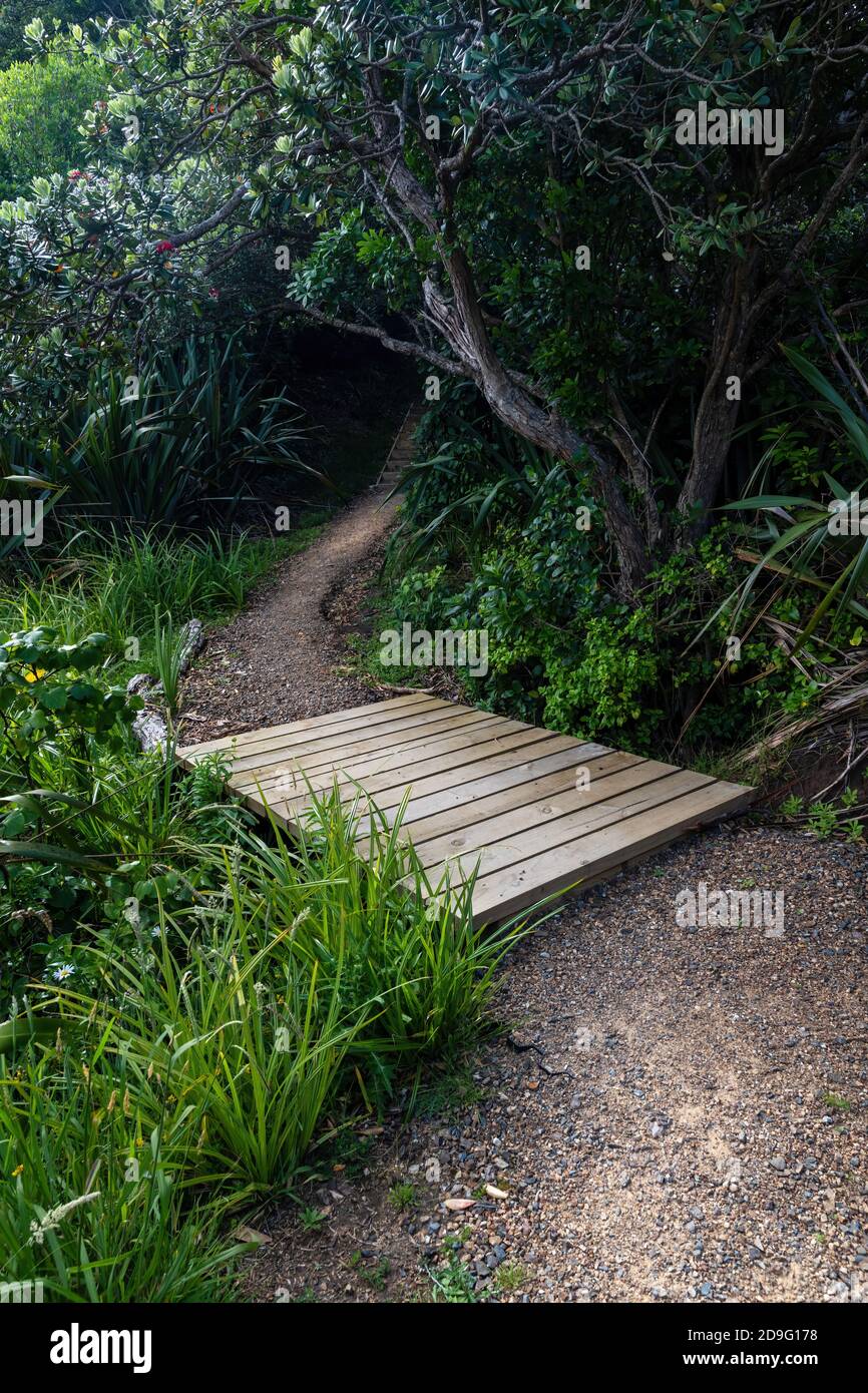 Hillary hiking track Stock Photo - Alamy