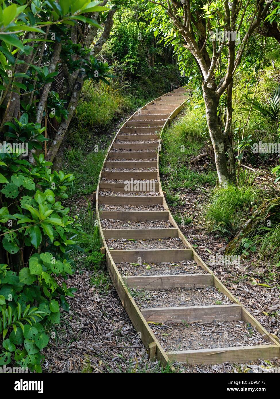 Hillary trail new zealand hi-res stock photography and images - Alamy