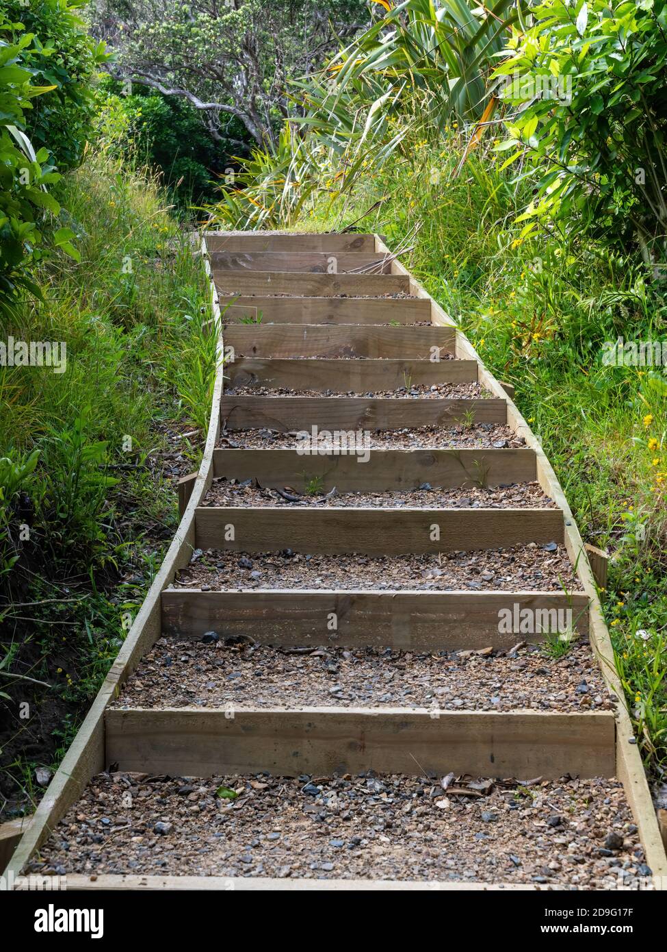 Hillary hiking track Stock Photo - Alamy
