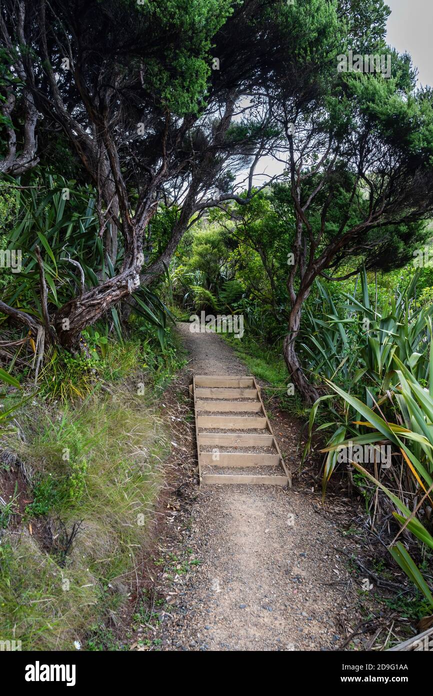 Hillary trail new zealand hi-res stock photography and images - Alamy