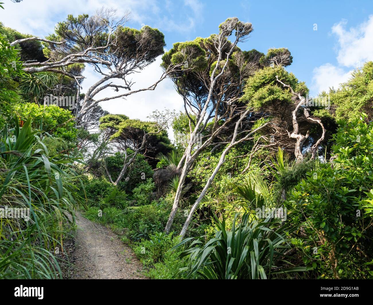 Hillary trail new zealand hi-res stock photography and images - Alamy