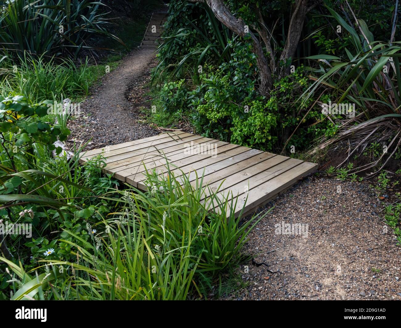 Hillary hiking track Stock Photo - Alamy