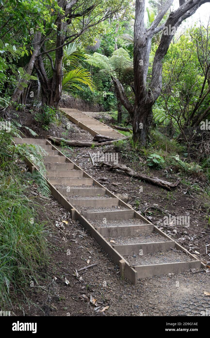 Hillary hiking track Stock Photo - Alamy