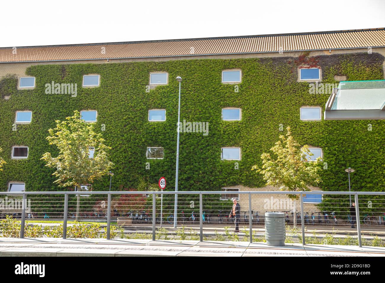Green walls plant in Aarhus, Denmark Stock Photo - Alamy