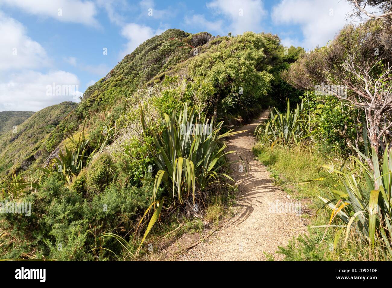 Hillary hiking track Stock Photo - Alamy