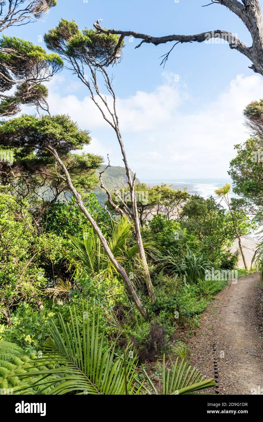 Hillary trail new zealand hi-res stock photography and images - Alamy
